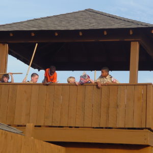 Welcome to Cub Adventure Camp! - Cub Adventure Camp